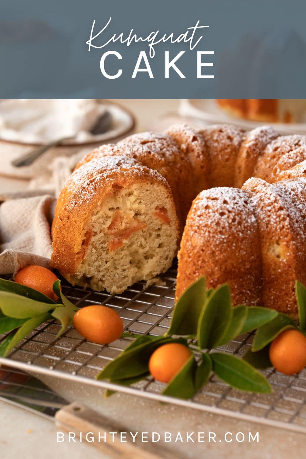 Kumquat Cake Recipe - Bright-Eyed Baker
