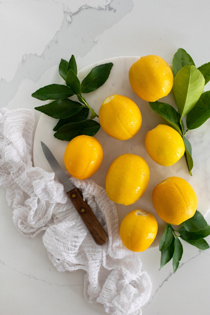 Candied Lemon Peel Recipe - Bright-Eyed Baker