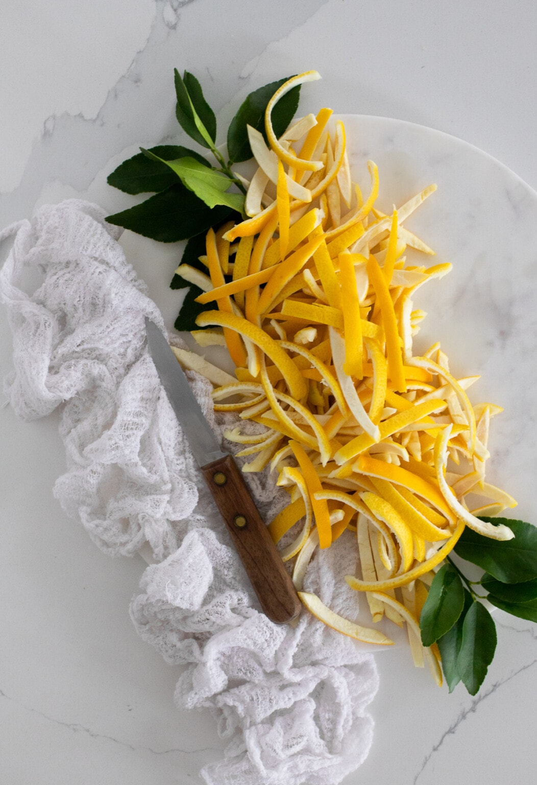 Candied Lemon Peel Recipe - Bright-Eyed Baker